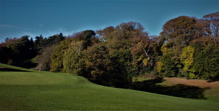 Contact - Flint Golf Club
